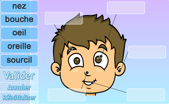 Les mots du visage. Exercice de vocabulaire et orthographe Cp/Ce1 ...